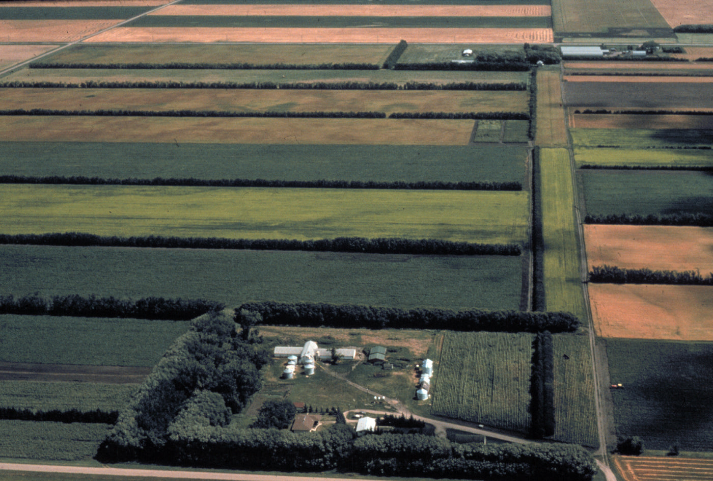 Agroforestry Benefits in Canada – GreenTree Agroforestry Solutions